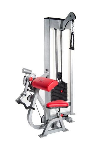 Promaxima Weight Lifting - Raptor Bi/Tri combo P-3350 - Total Body Experts